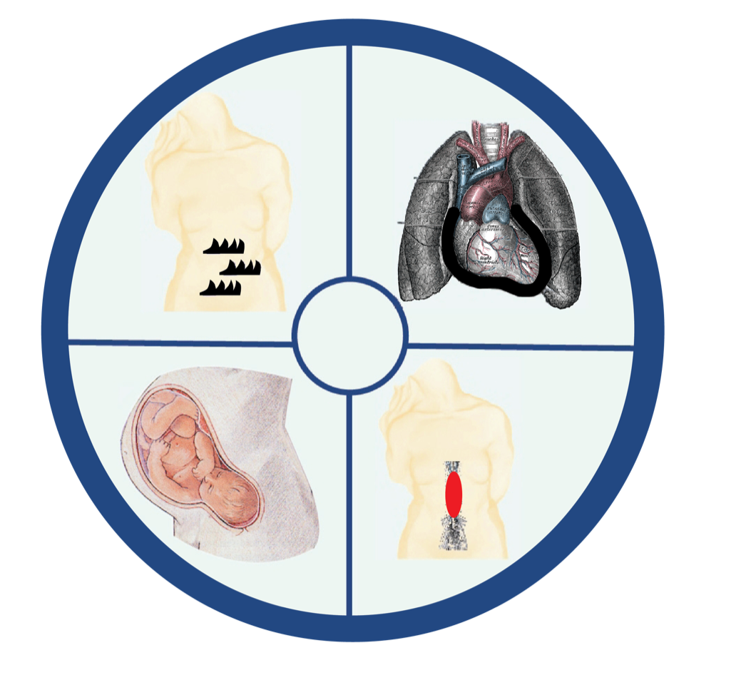 Acute Care CORE - CPoCUS - Canadian Point of Care Ultrasound Society